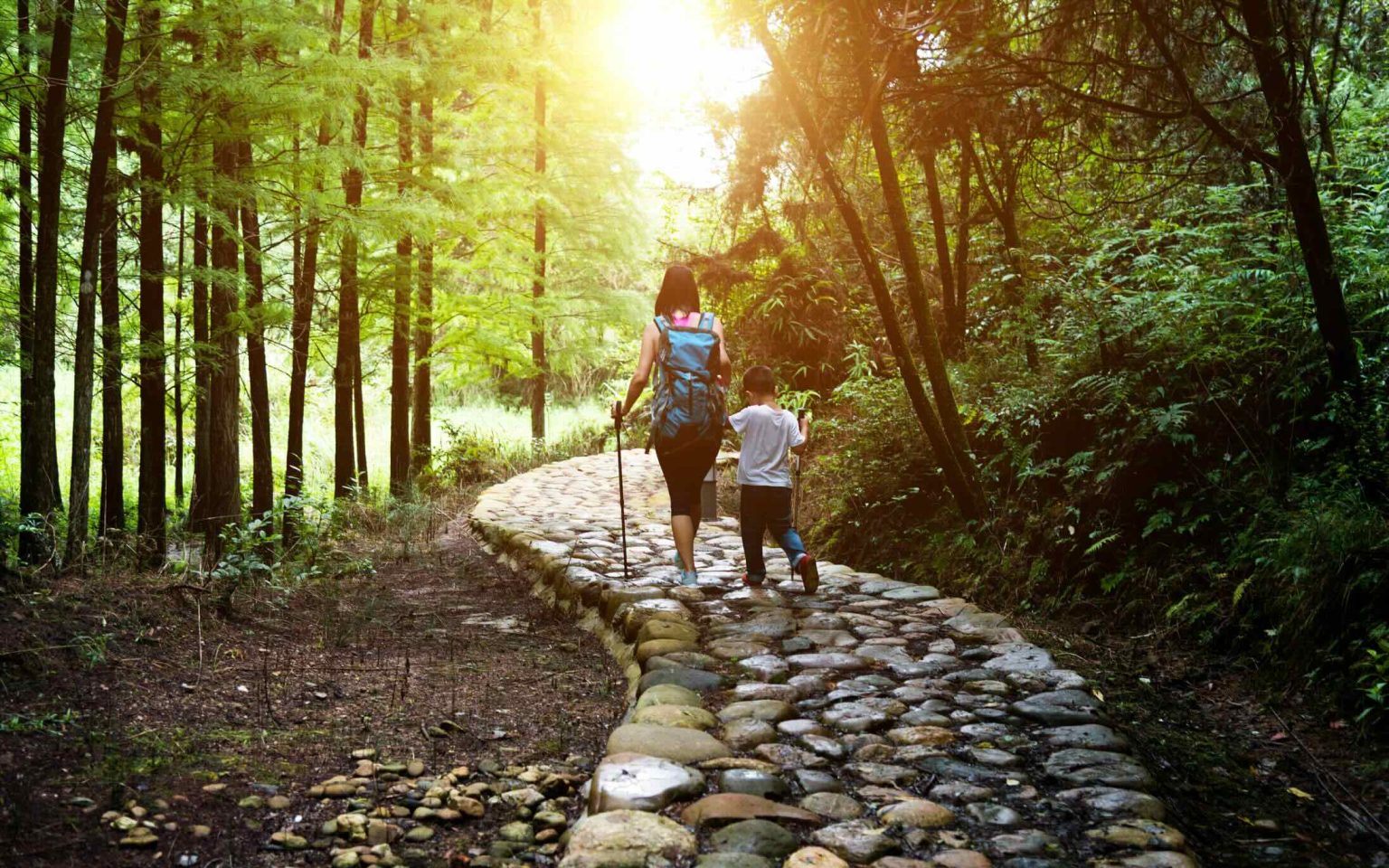 Estimate Tax Deductions, Annual Payments, and More Using a Charitable ...